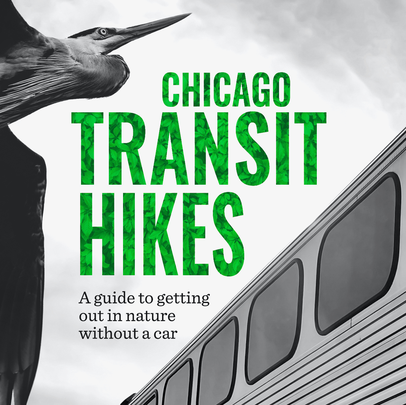 Something to look forward to: A new guide to hikes you can access from ...