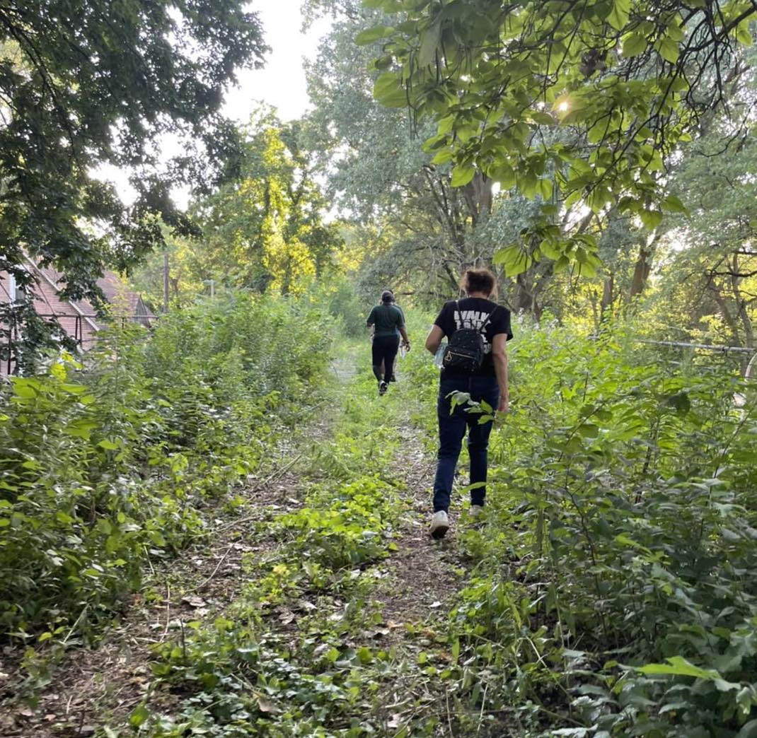 How the Englewood Nature Trail will be different than The 606 ...