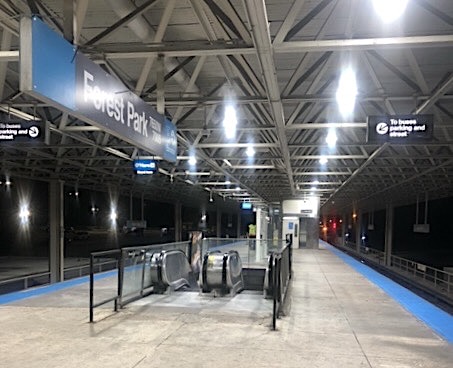 Forest Park branch revisited: J. Niimi checks the pulse of the Blue ...