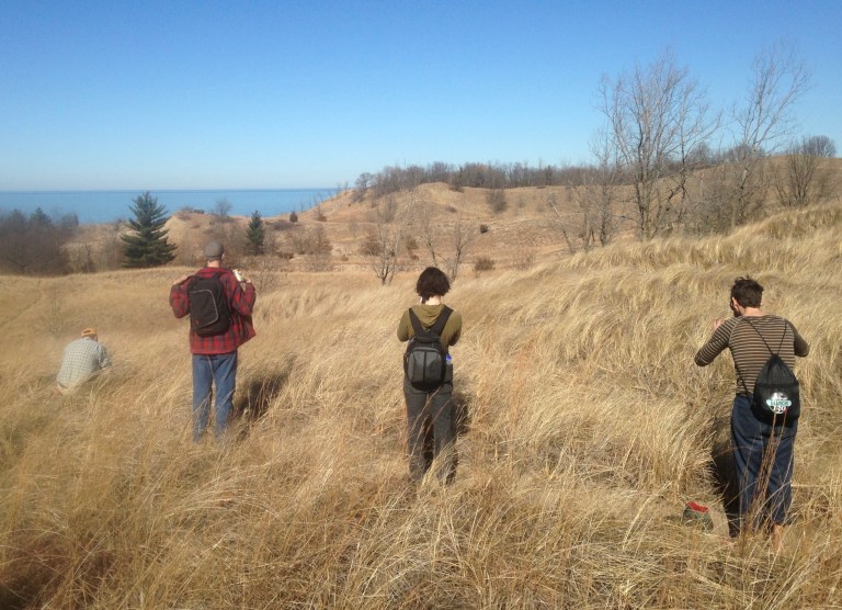 The second edition of "Chicago Transit Hikes" by Lindsay Welbers ...